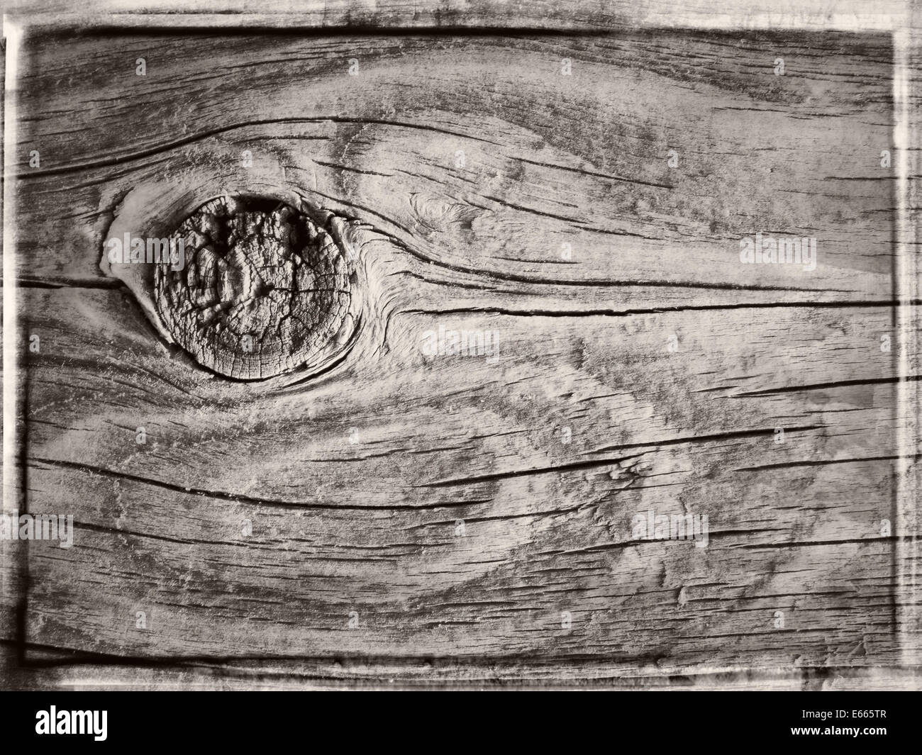 Tree bark knot hi-res stock photography and images - Alamy