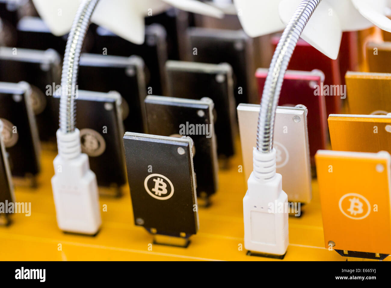 Row of USB bitcoin miners plugged into large USB board Stock Photo - Alamy