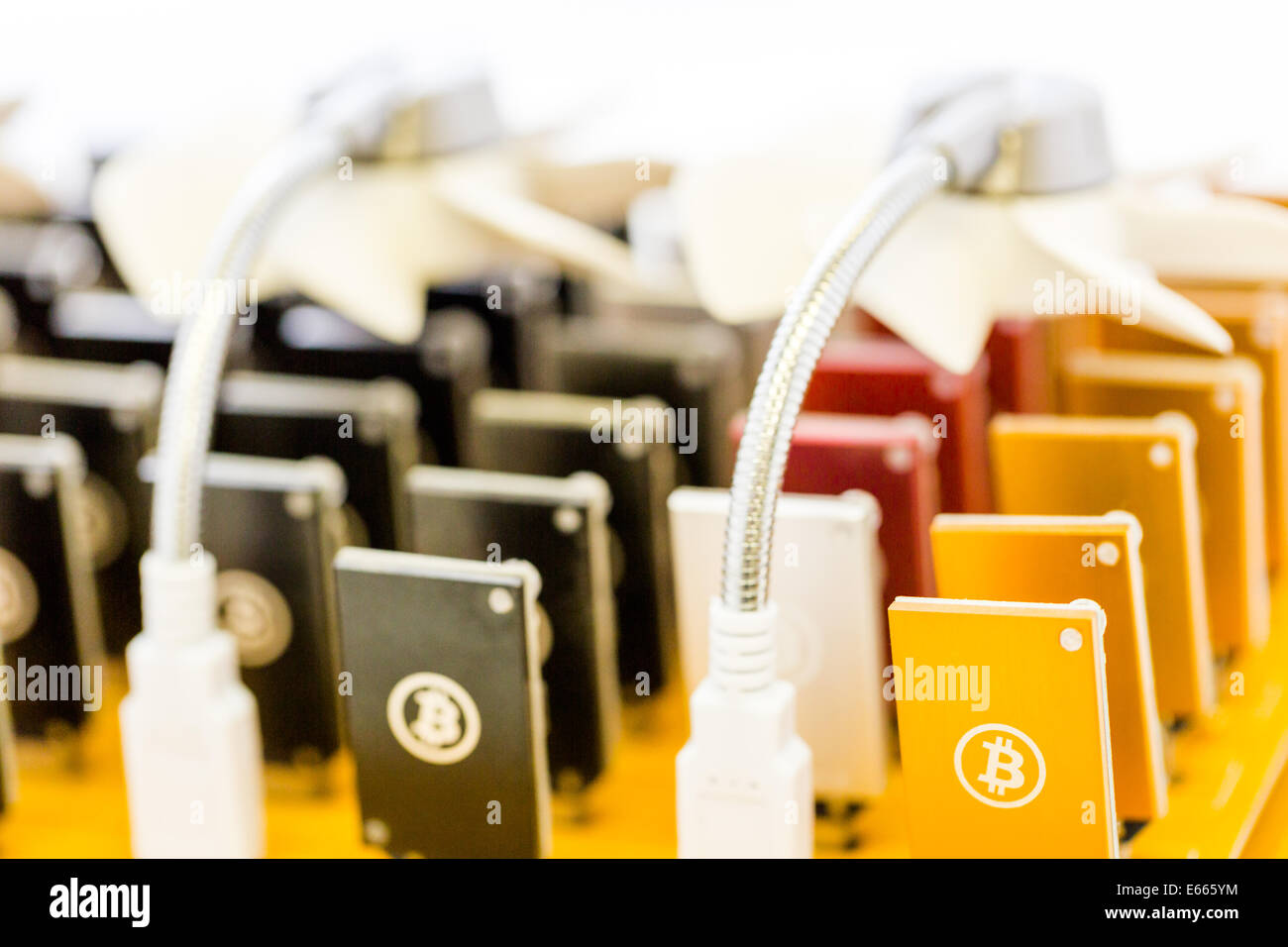 Row of USB bitcoin miners plugged into large USB board Stock Photo - Alamy