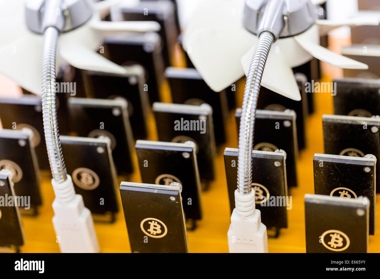Row of USB bitcoin miners plugged into large USB board Stock Photo - Alamy