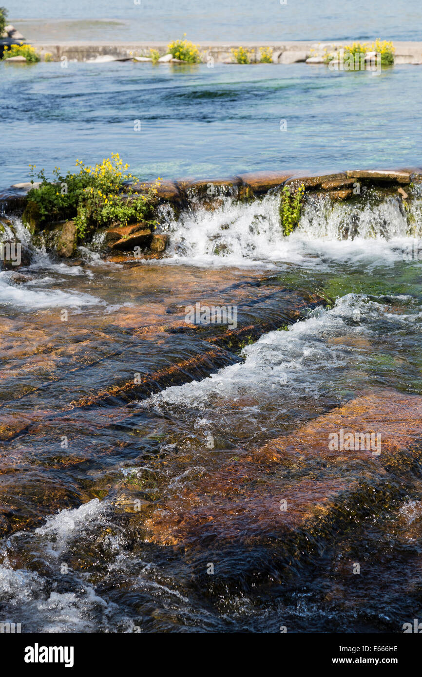 Giant Springs State Park, Great Falls, Montana, USA Stock Photo - Alamy