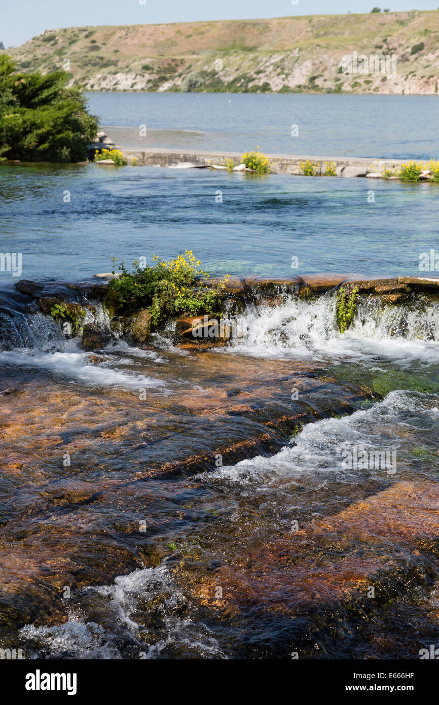 Giant Springs State Park, Great Falls, Montana, USA Stock Photo - Alamy