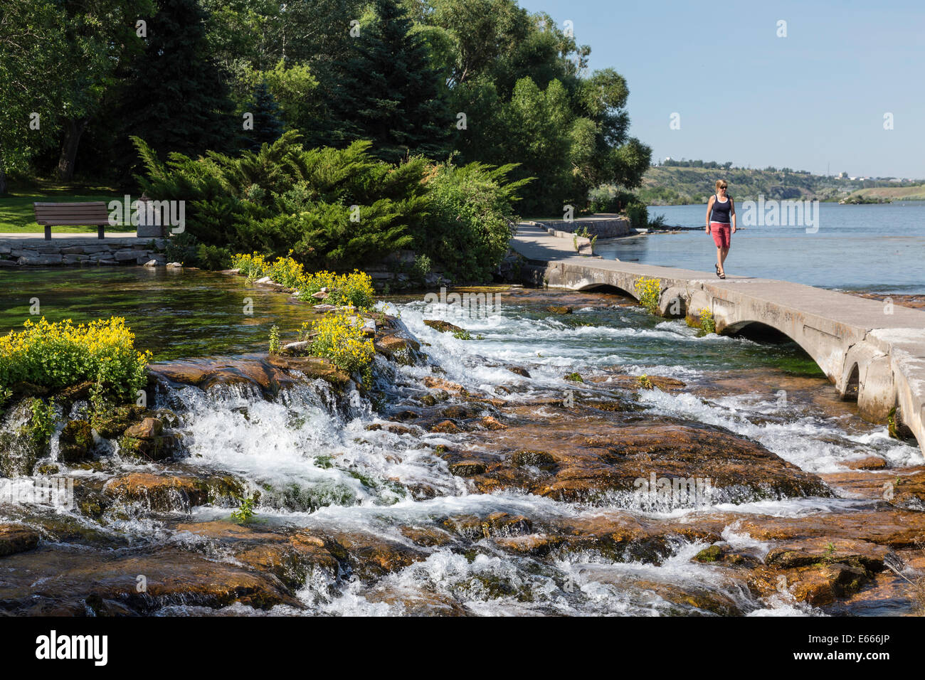 Giant Springs State Park, Great Falls, Montana, USA Stock Photo - Alamy