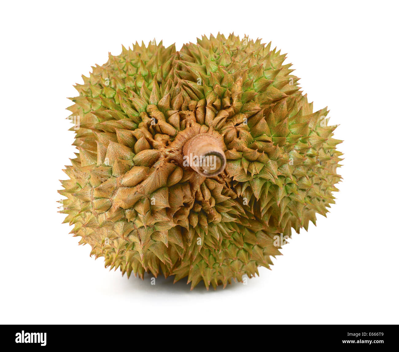 Durian fruit isolated on white Stock Photo - Alamy