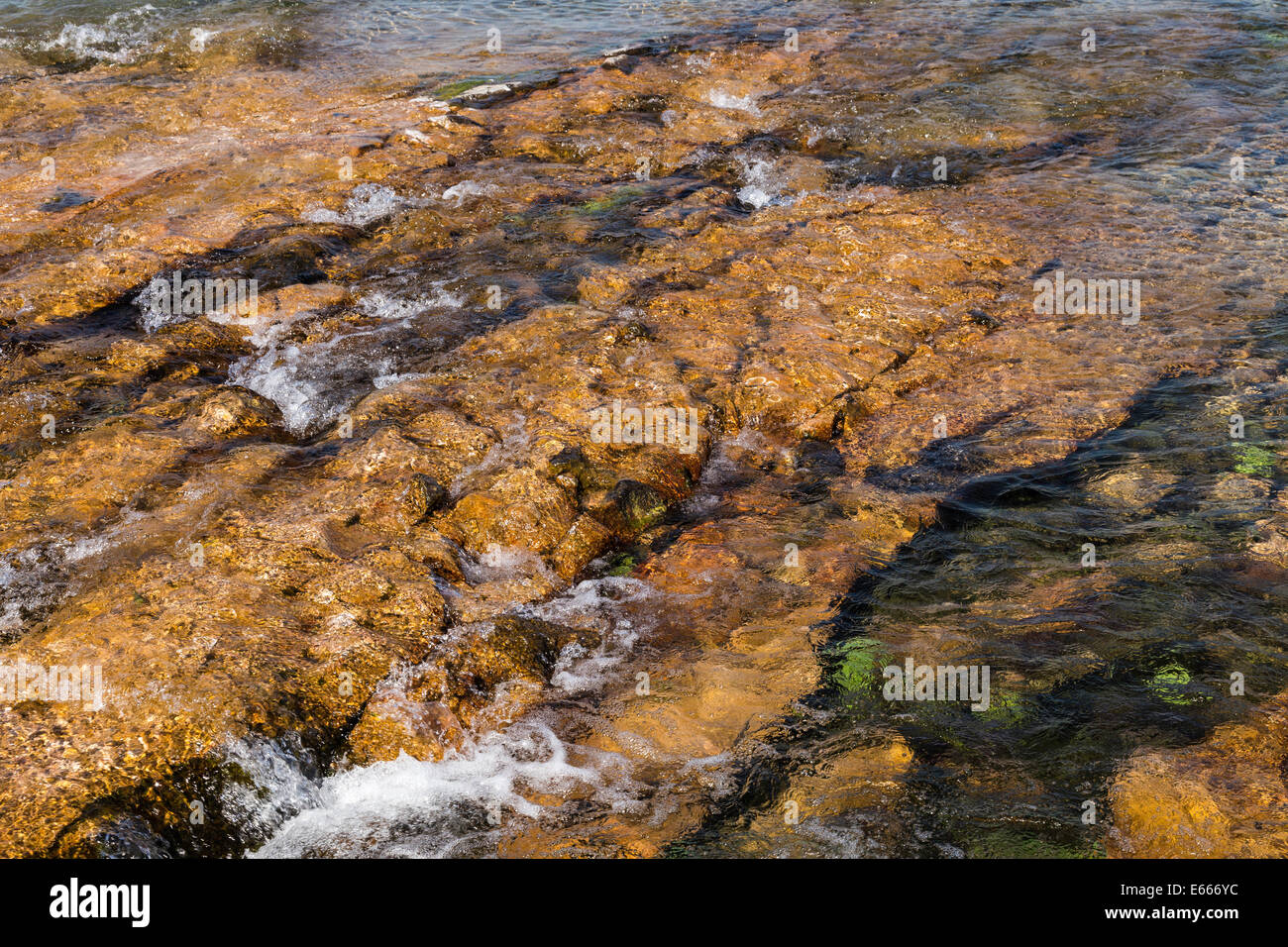 Giant Springs State Park, Great Falls, Montana, USA Stock Photo - Alamy