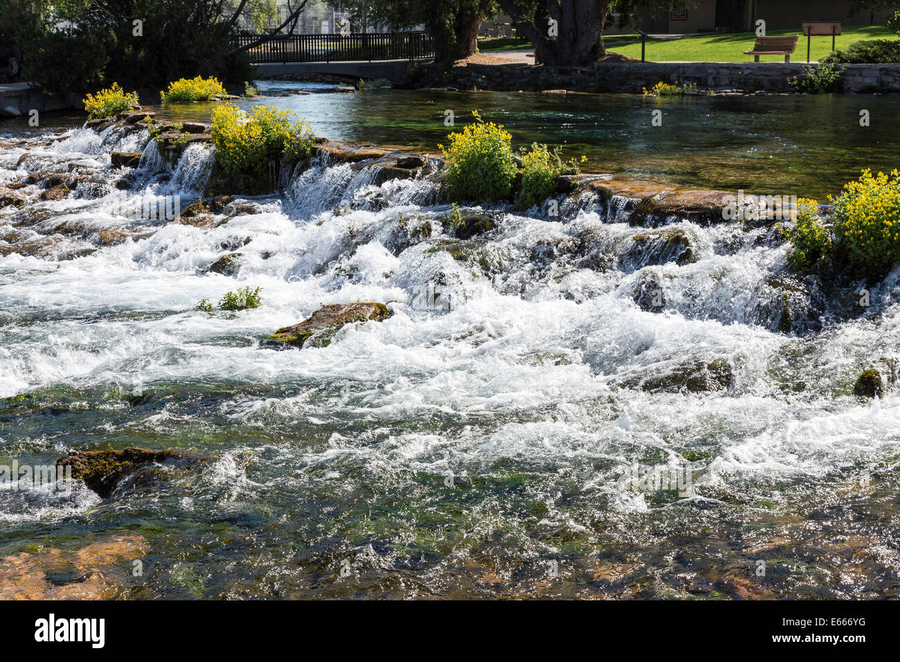 Giant Springs State Park, Great Falls, Montana, USA Stock Photo - Alamy