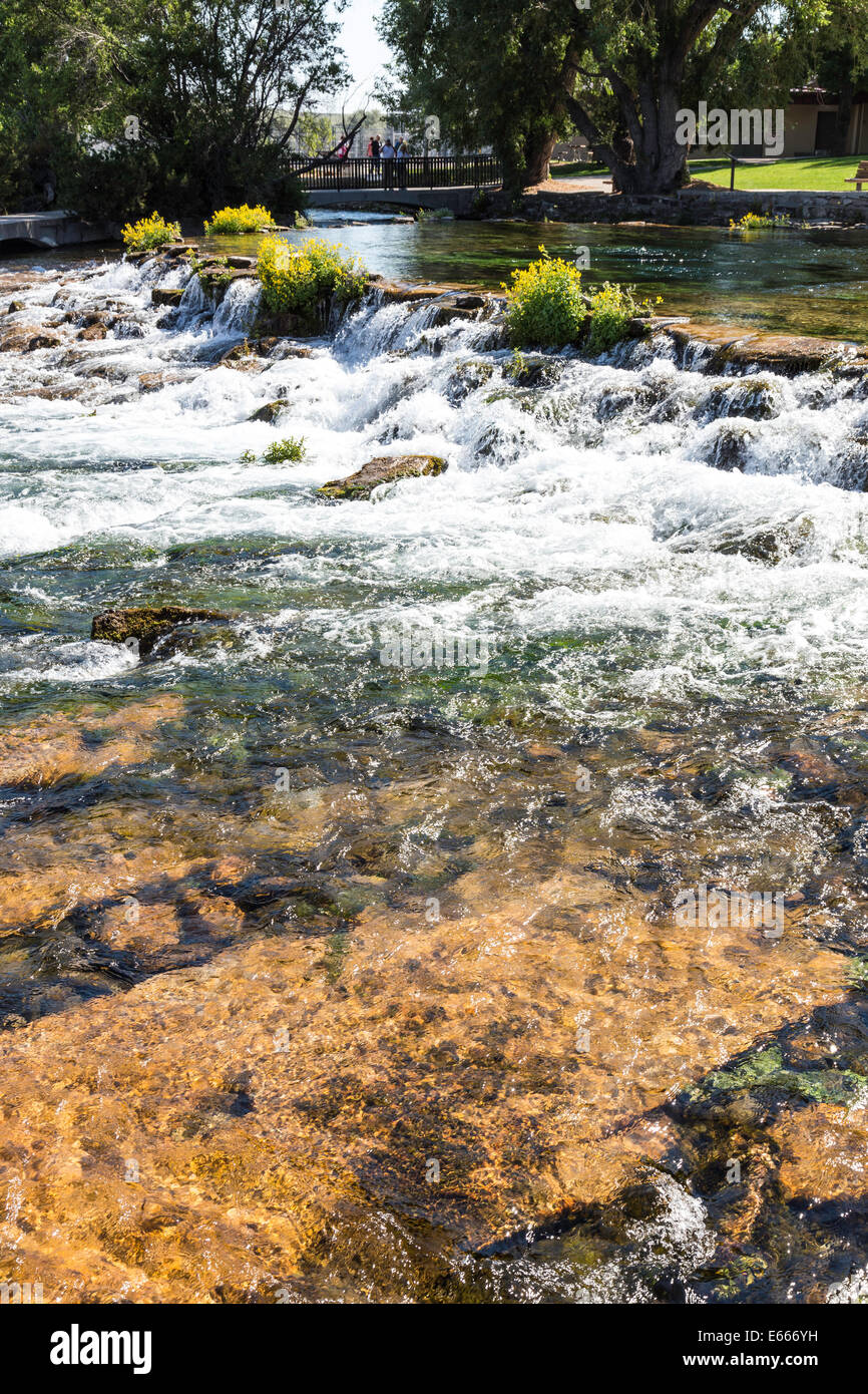 Giant Springs State Park, Great Falls, Montana, USA Stock Photo - Alamy