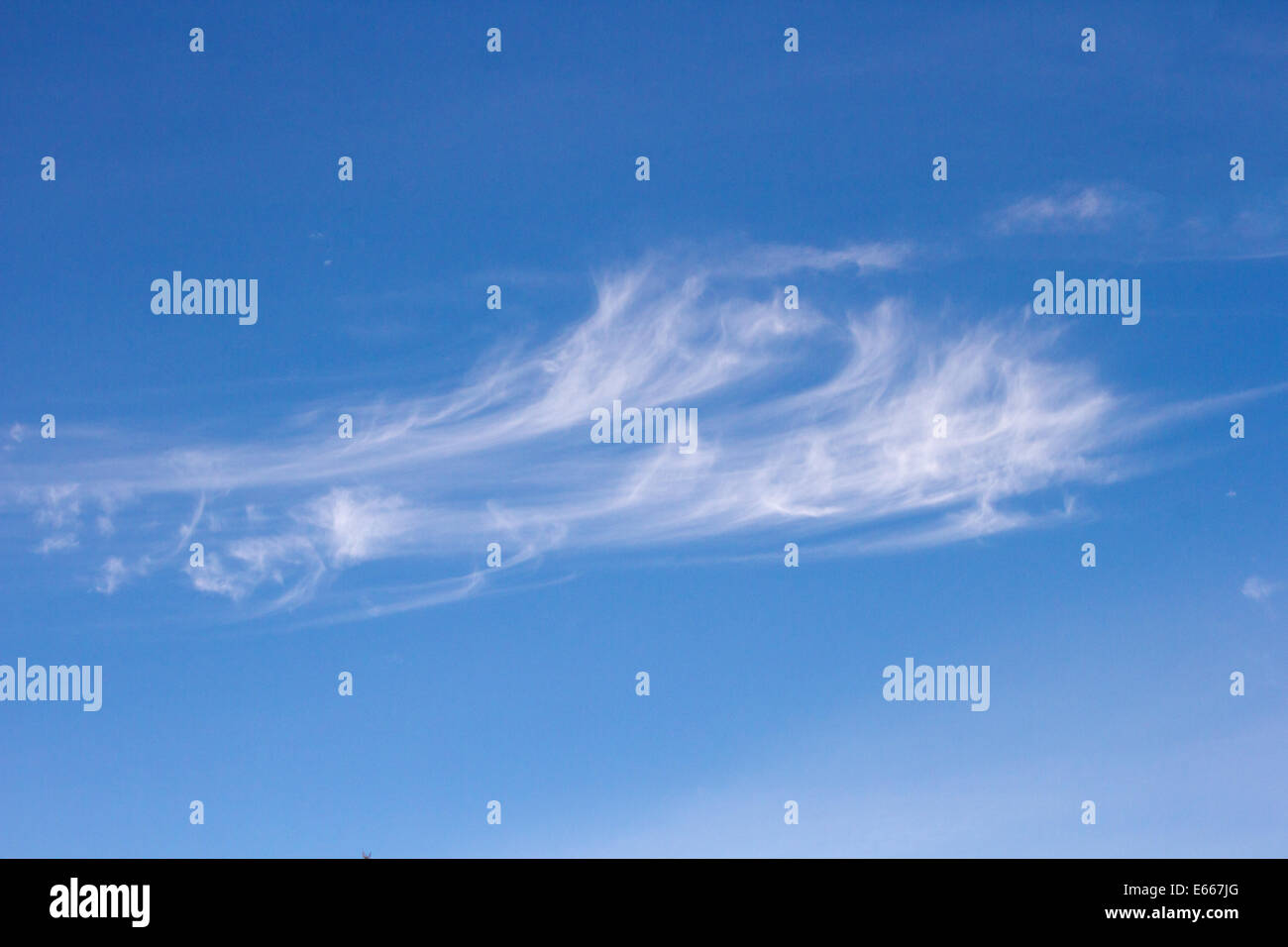 Cirrus Cloud formation background Stock Photo - Alamy