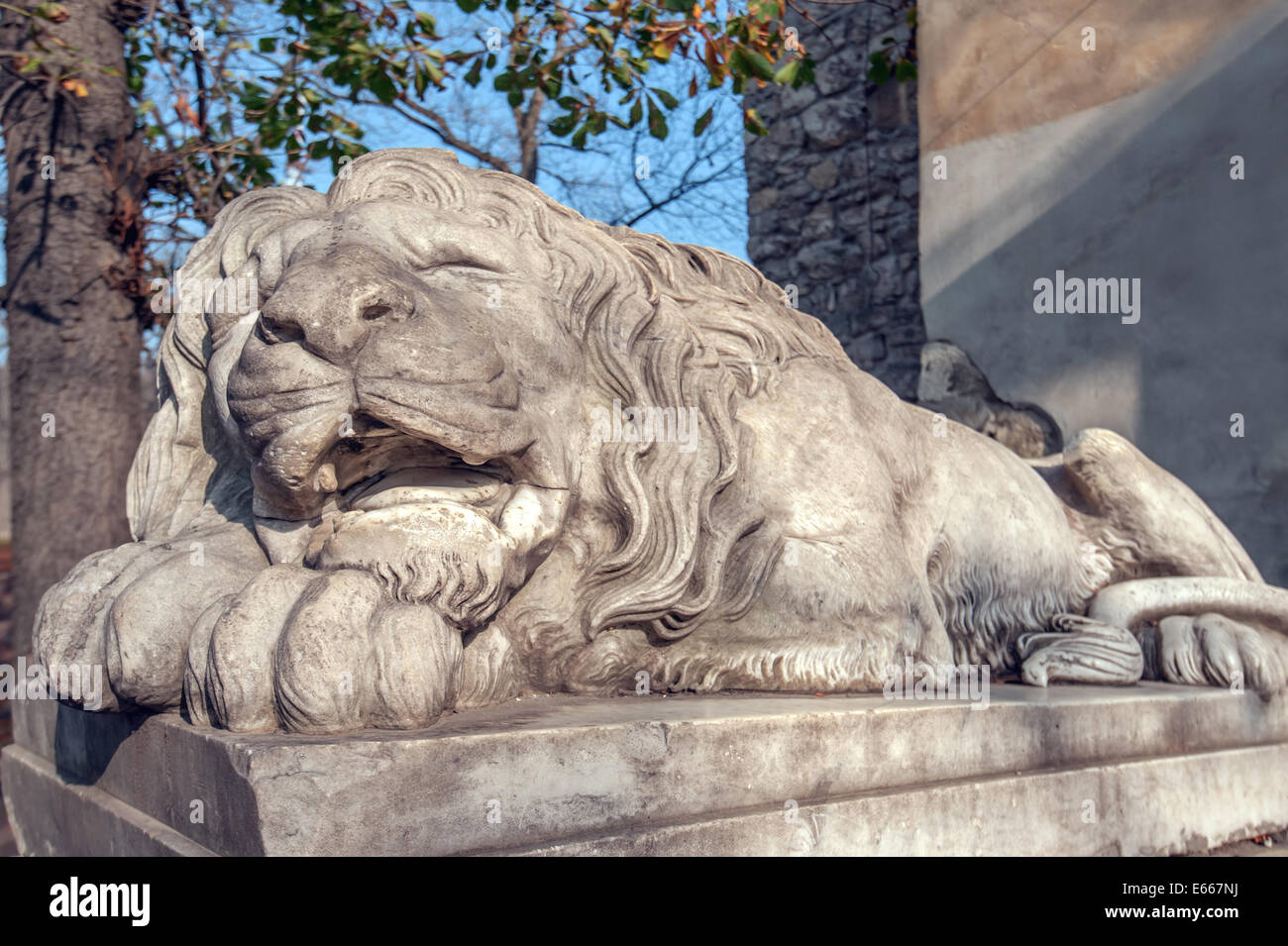 Lion sculpture on Lviv city. Ukraine Stock Photo - Alamy