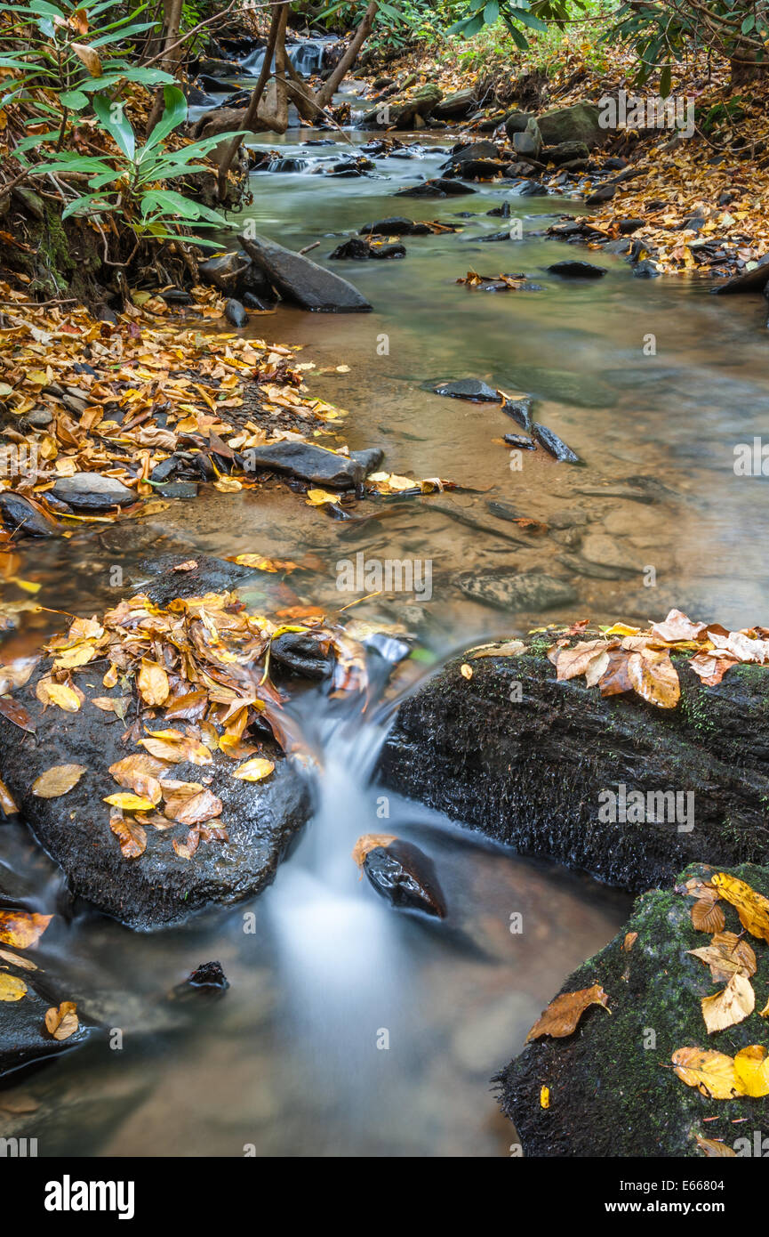 The calming, peaceful beauty of a mountain stream with a natural ...