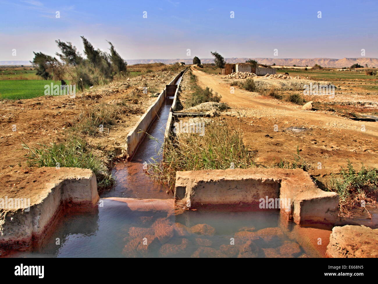 Spring water in desert Stock Photo - Alamy