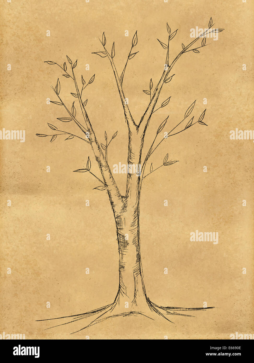 Sketch on paper hi-res stock photography and images - Alamy