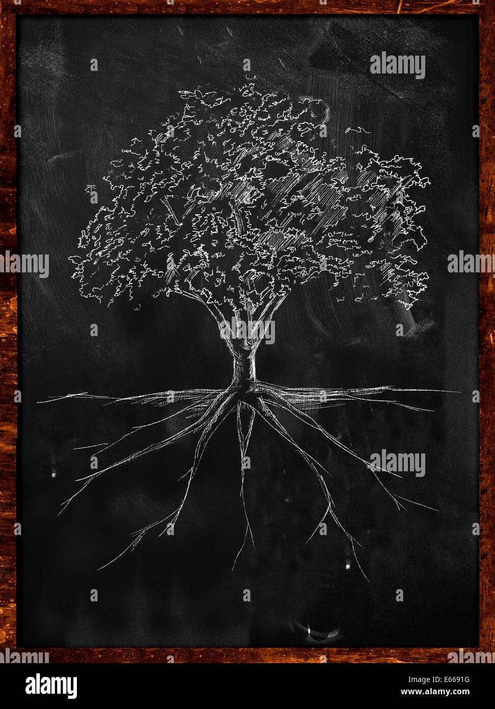 Tree sketch hi-res stock photography and images - Alamy
