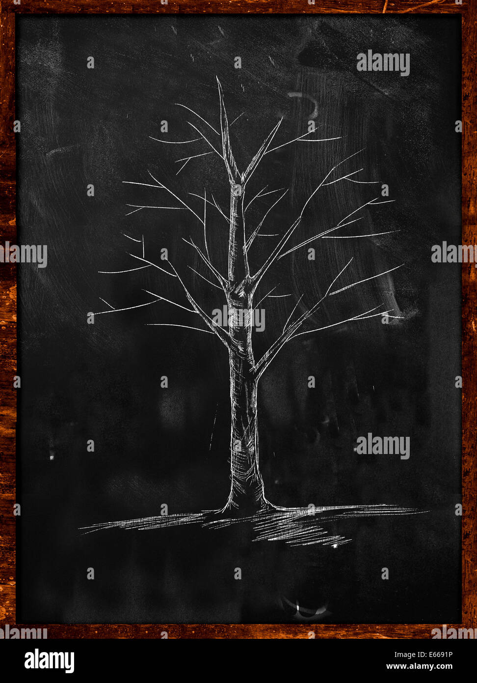 Tree Sketch without leaves on blackboard Stock Photo - Alamy