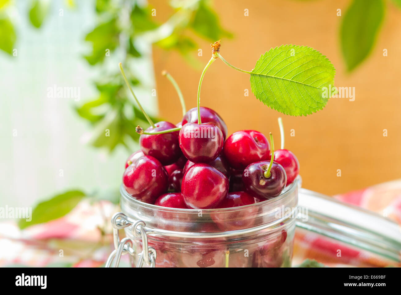 Fresh fruit cherries in a jar for products processed Stock Photo - Alamy