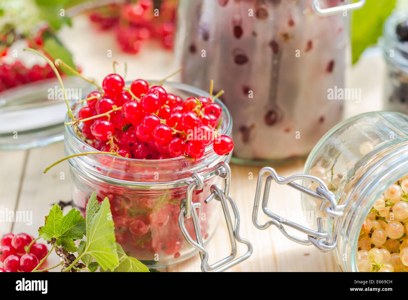 Preparation of products processed: fresh colorful summer fruits in jars ...