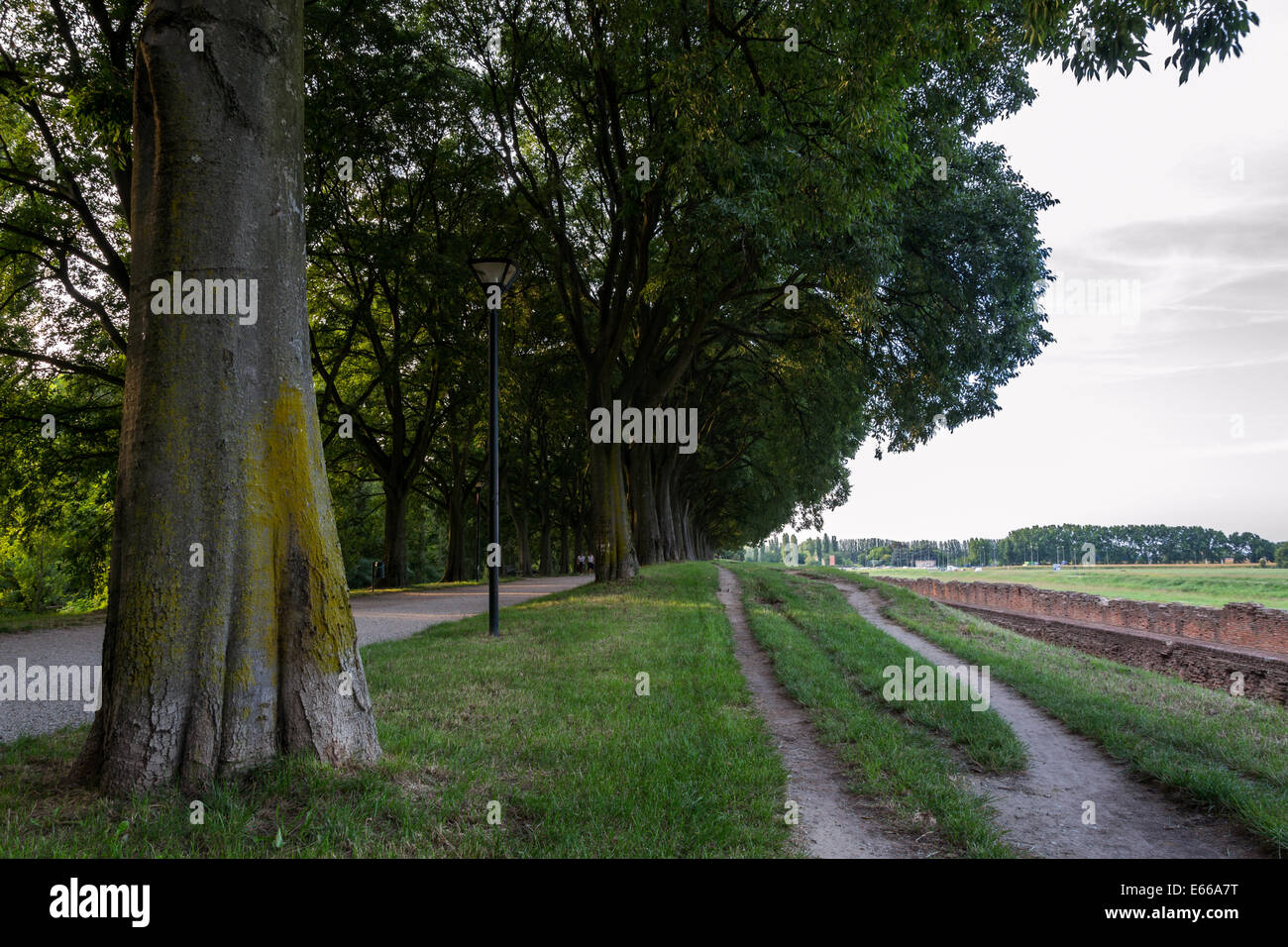Monumental plants hi-res stock photography and images - Alamy