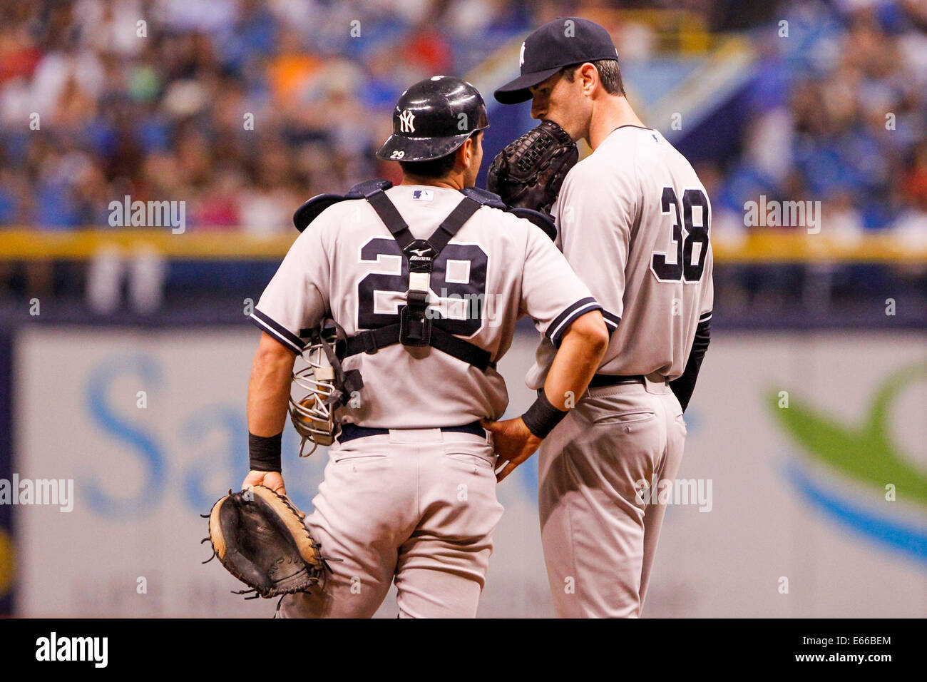 St. Petersburg, FL, USA. 15th Aug, 2014. New York Yankees catcher ...