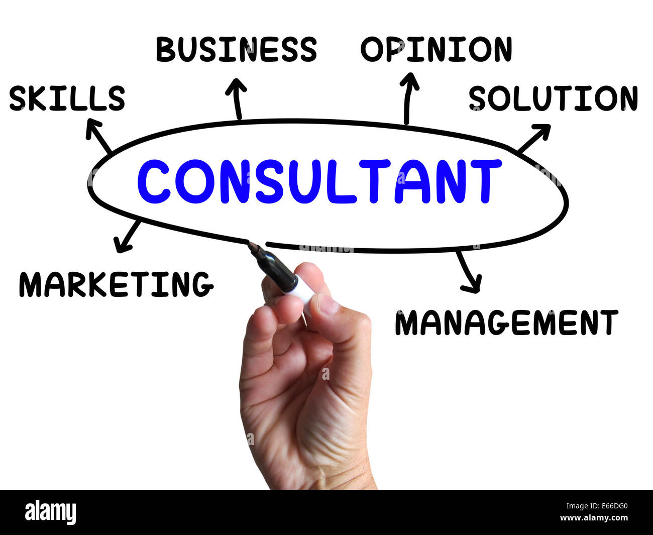 Consultant Diagram Showing Expert With Opinions And Solutions Stock ...