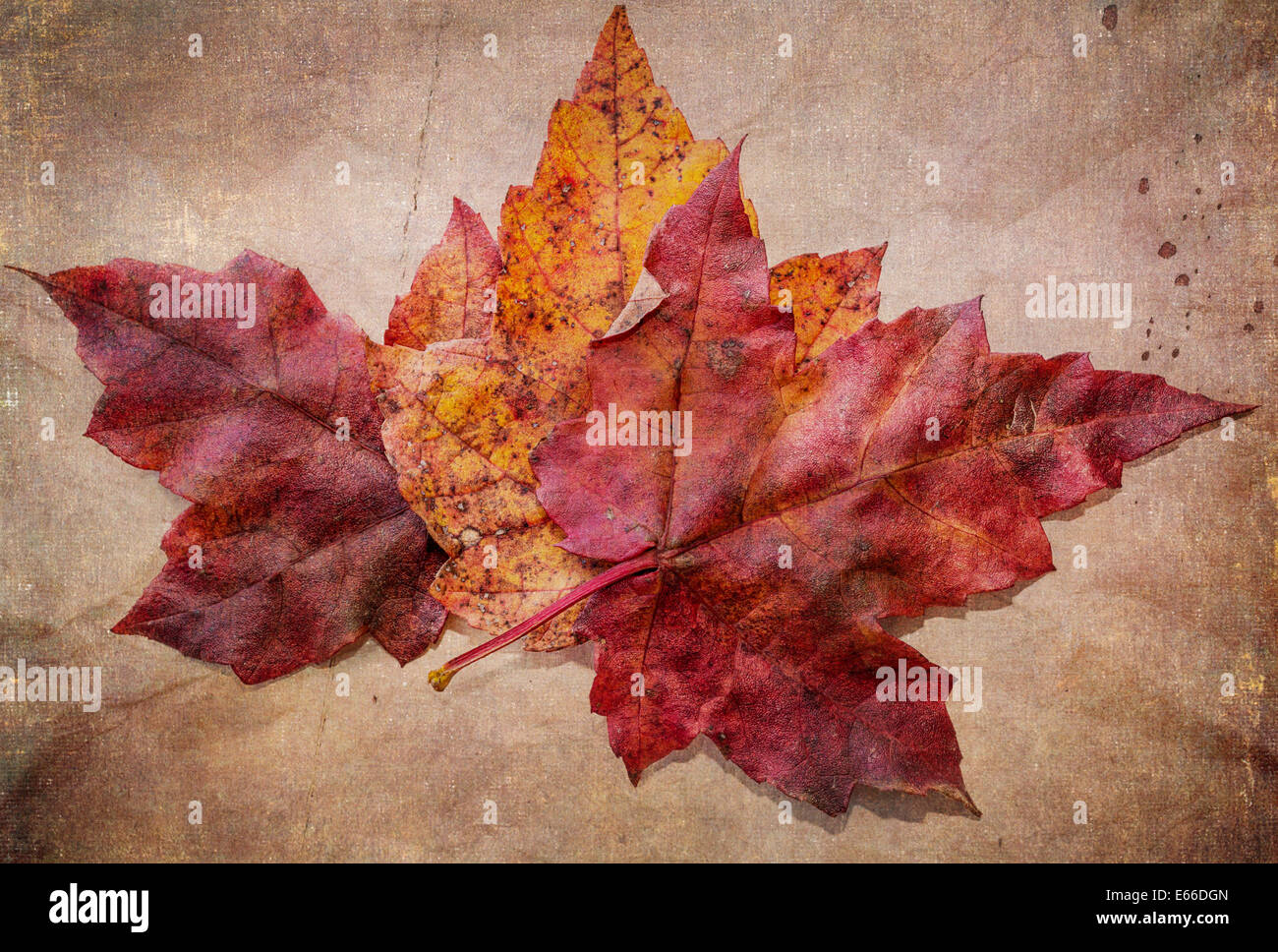 Subtle texture hi-res stock photography and images - Alamy