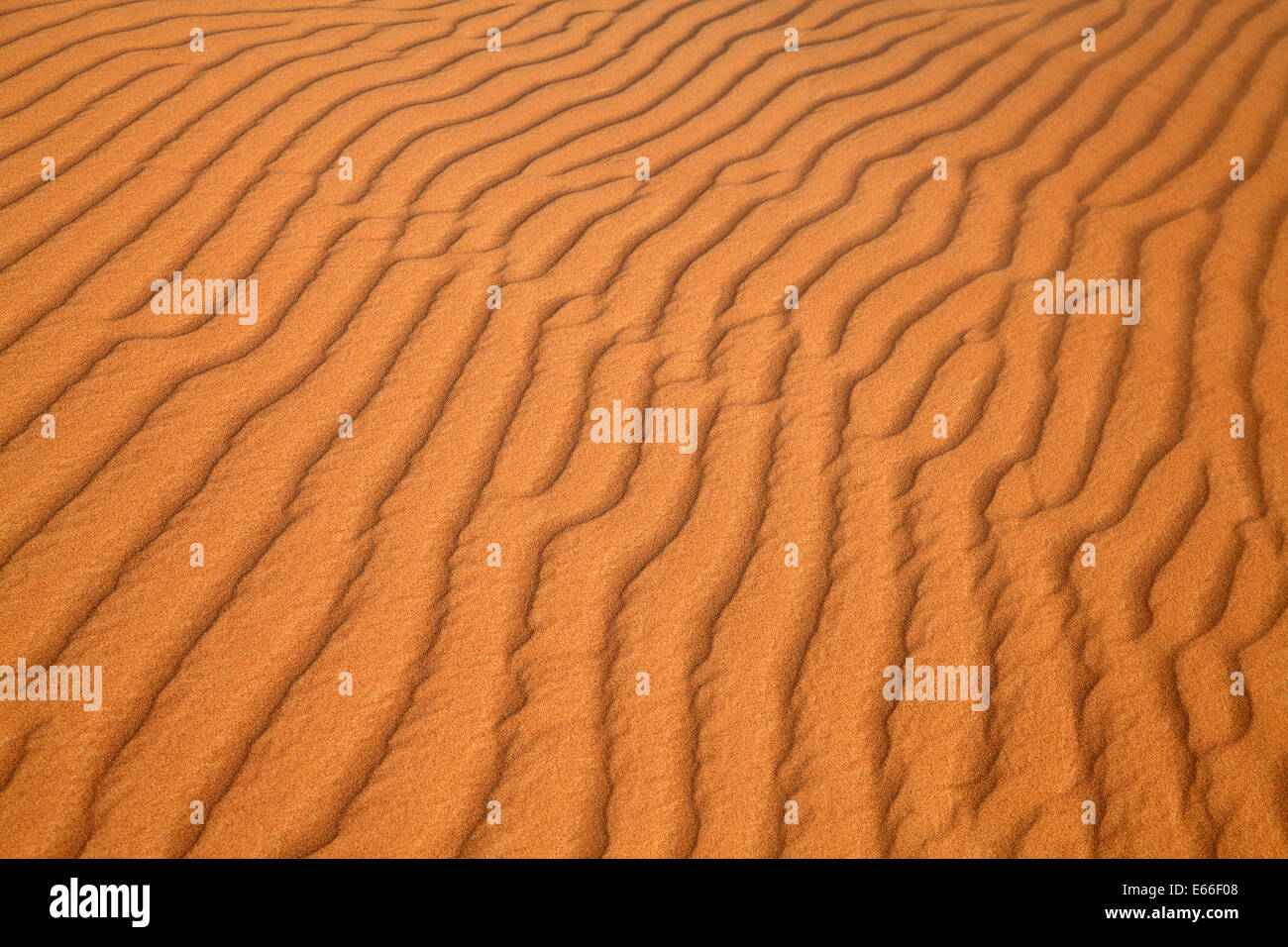 Red sand "Arabian desert" near Dubai, UAE Stock Photo - Alamy