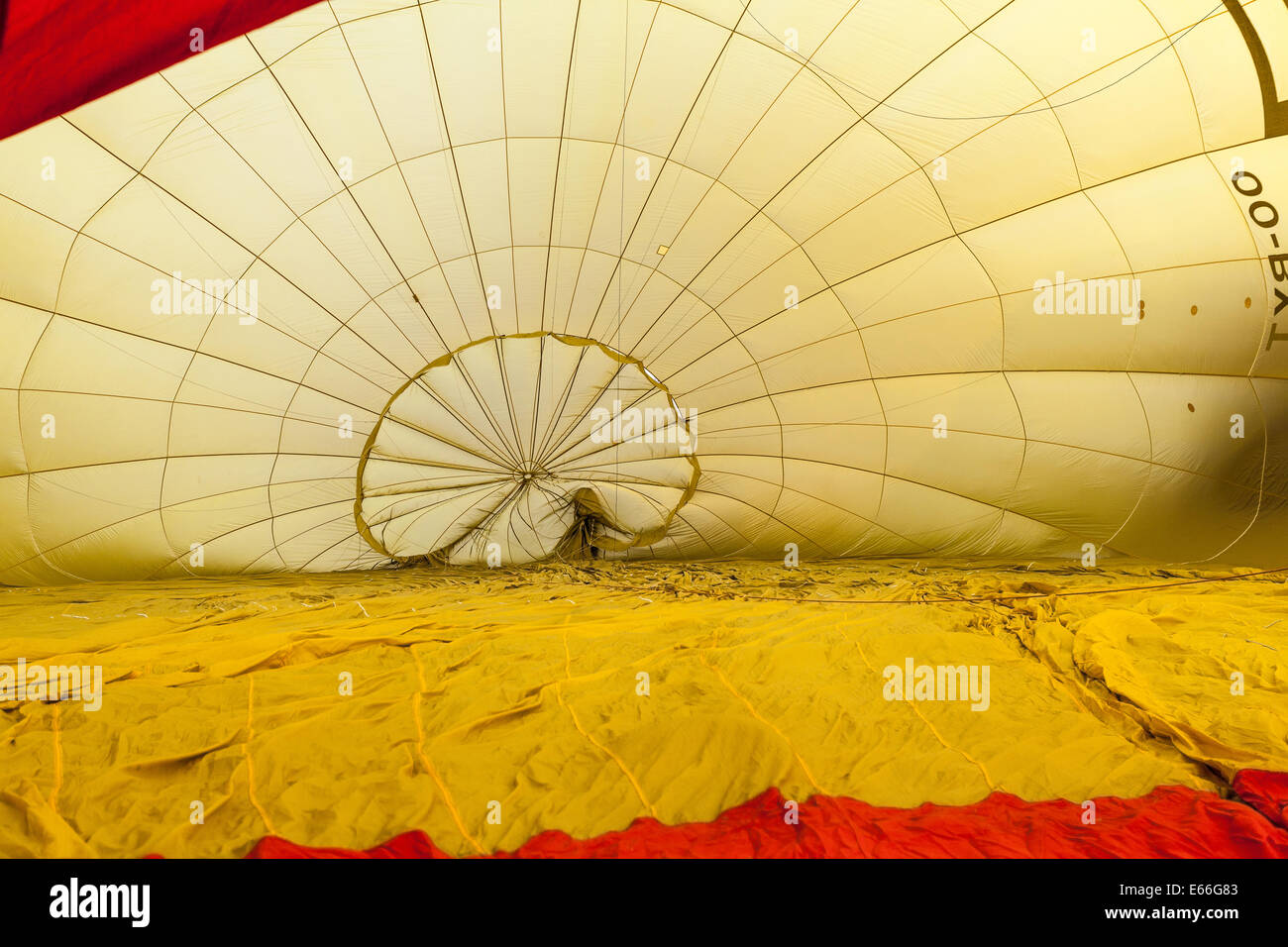 Human tr hi-res stock photography and images - Alamy