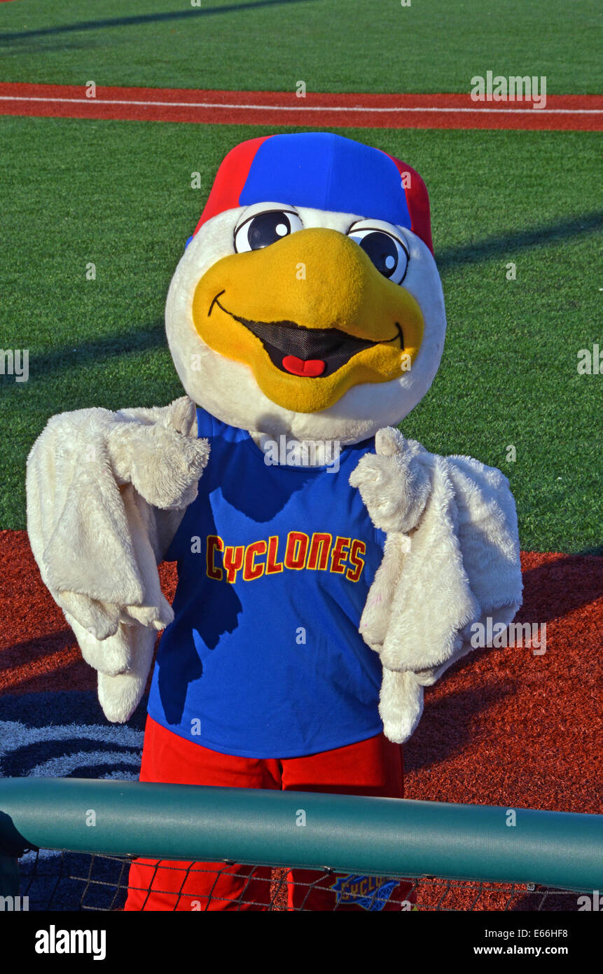 Pee-Wee the seagull, the Brooklyn Cyclones mascot photographed in Coney ...