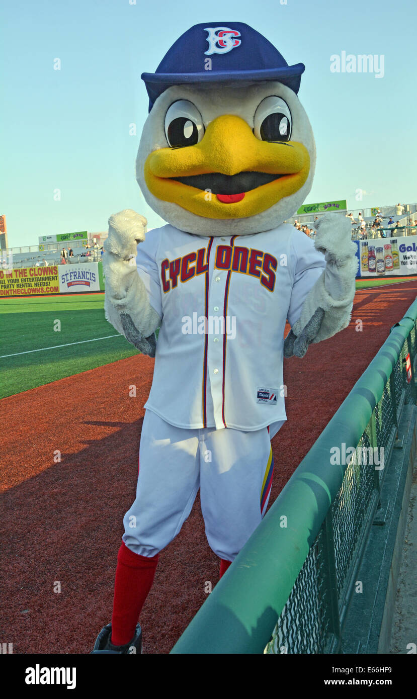 Sandy the seagull, the Brooklyn Cyclones mascot named for Sandy Koufax ...