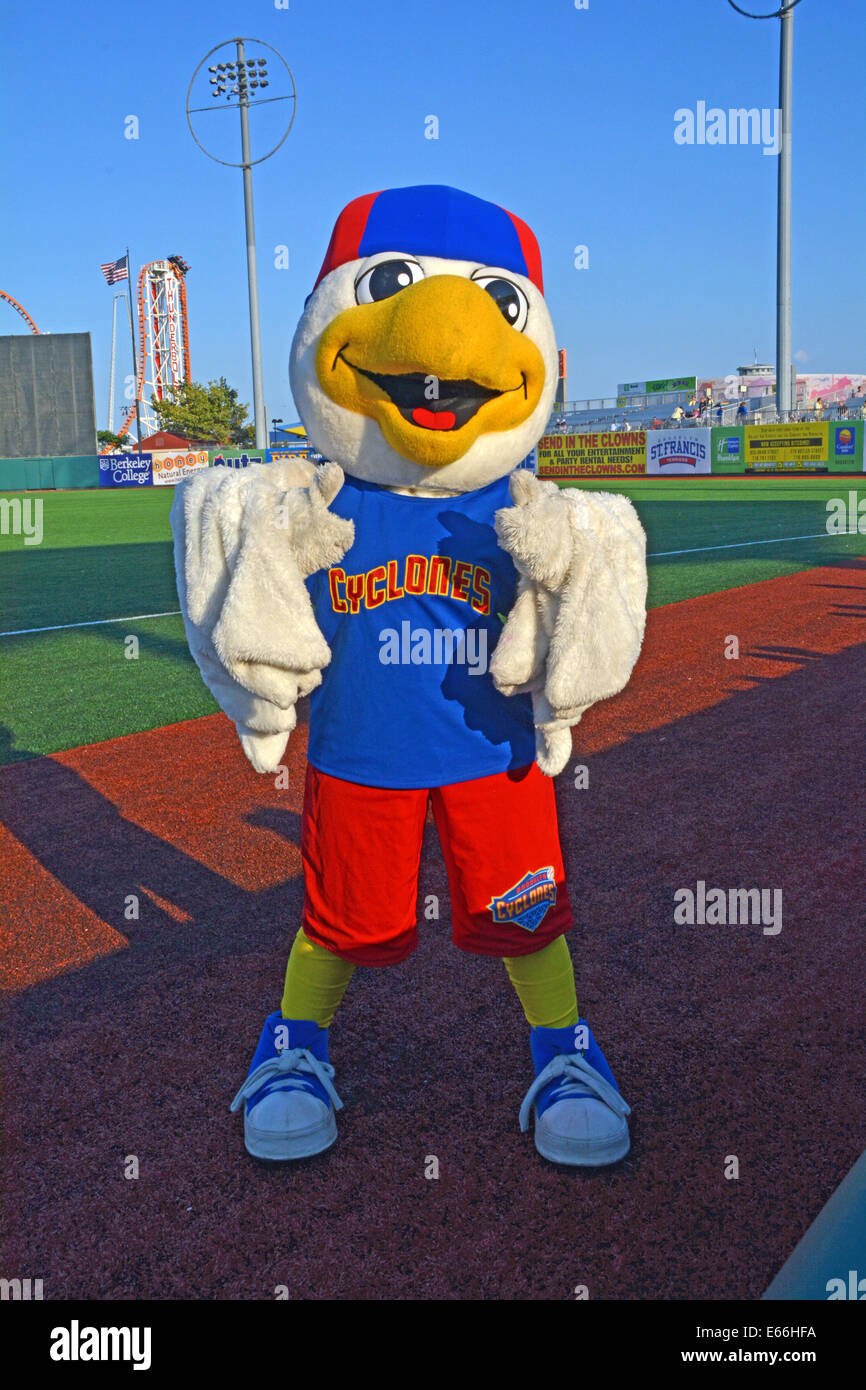Pee-Wee the seagull, the Brooklyn Cyclones mascot photographed in Coney ...