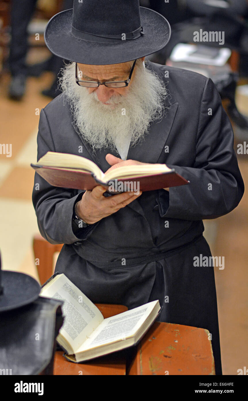 Religious Jewish teacher studying from holy Hebrew books in Crown ...