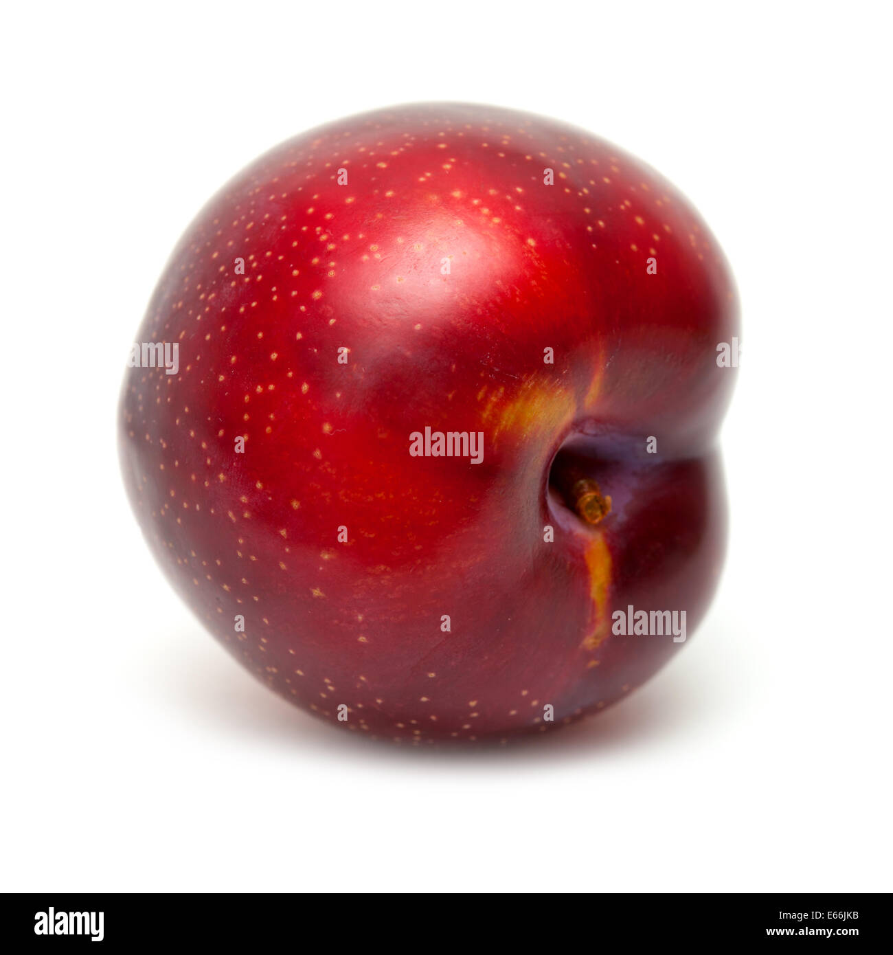ripe dark red plums fruit isolated on white Stock Photo - Alamy