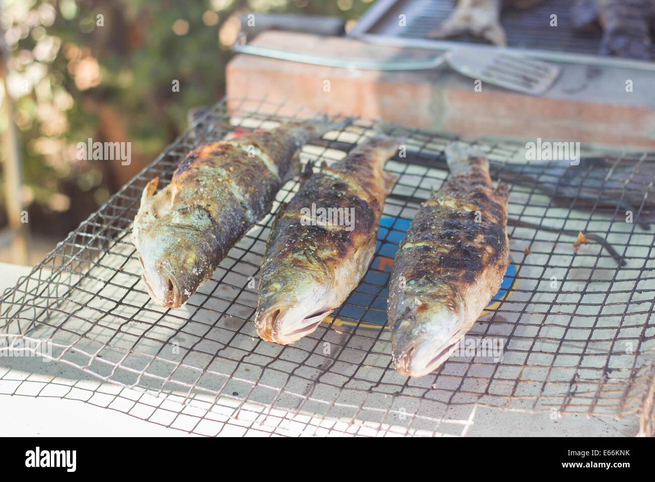 grill fish prepared cooked seafood grilled fishes Stock Photo - Alamy