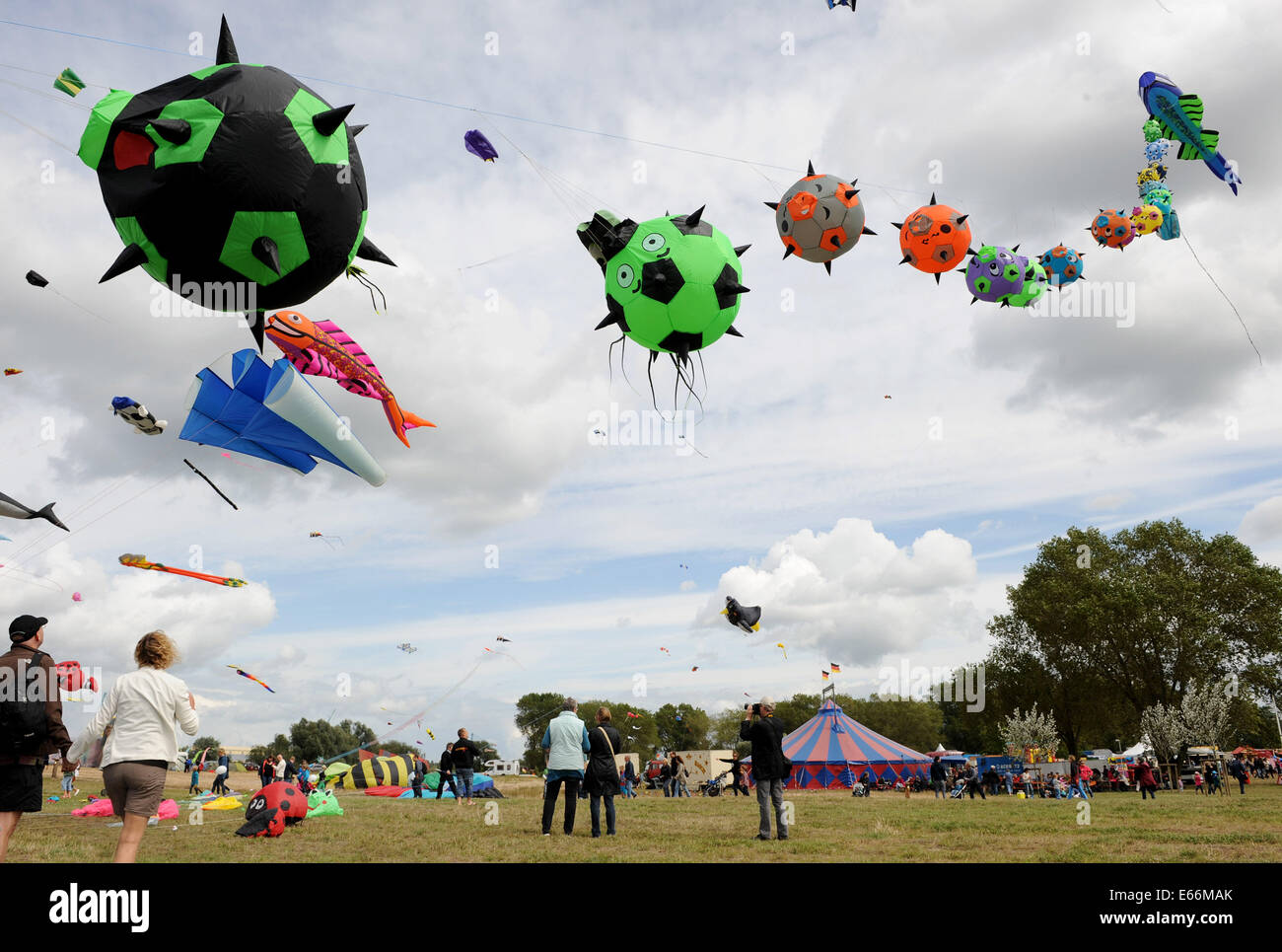 Lemwerder, Germany. 16th Aug, 2014. Many different kites hang in the ...