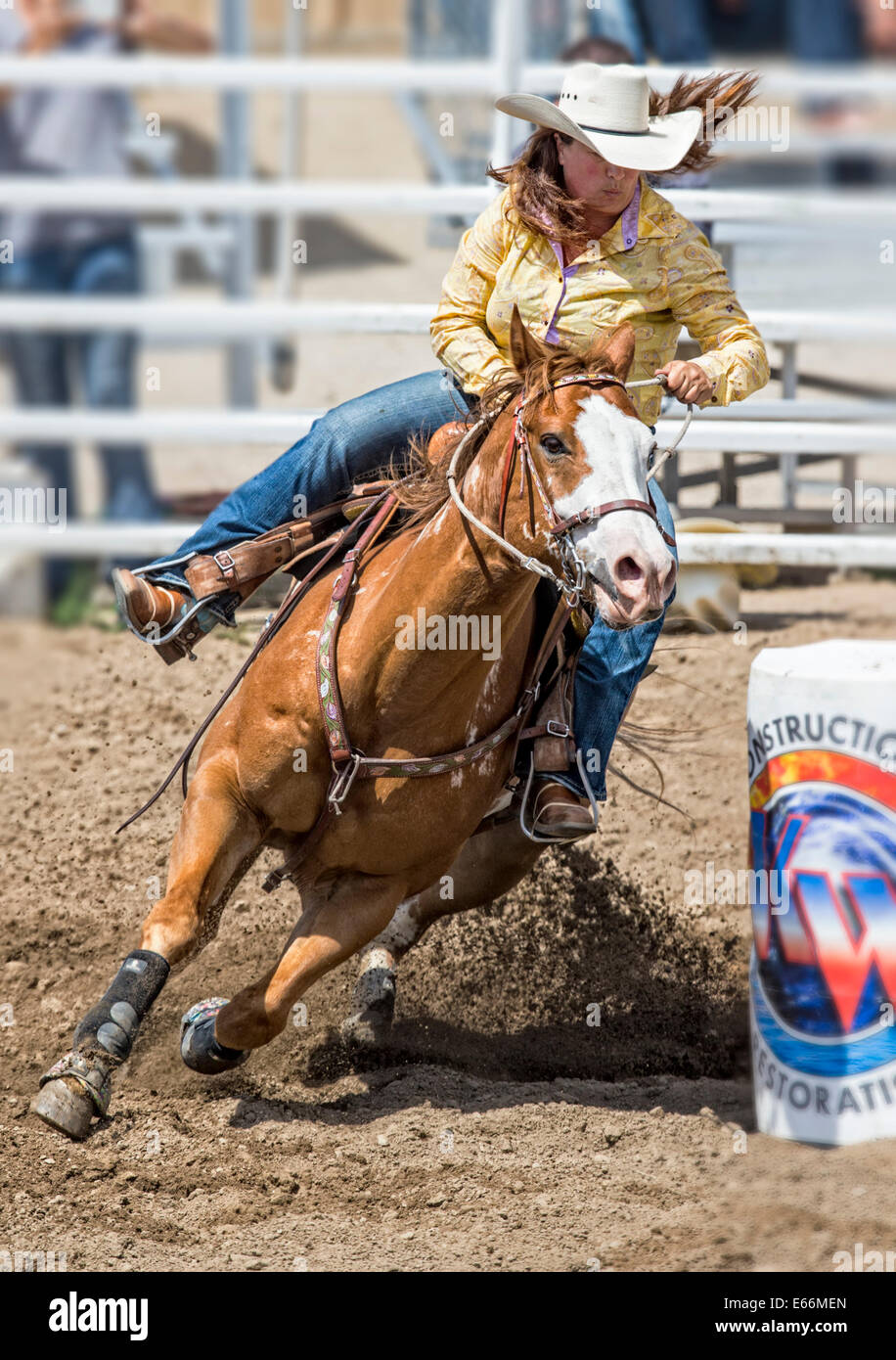 Cowgirl on horseback riding in the ladies barrel racing event, Chaffee ...