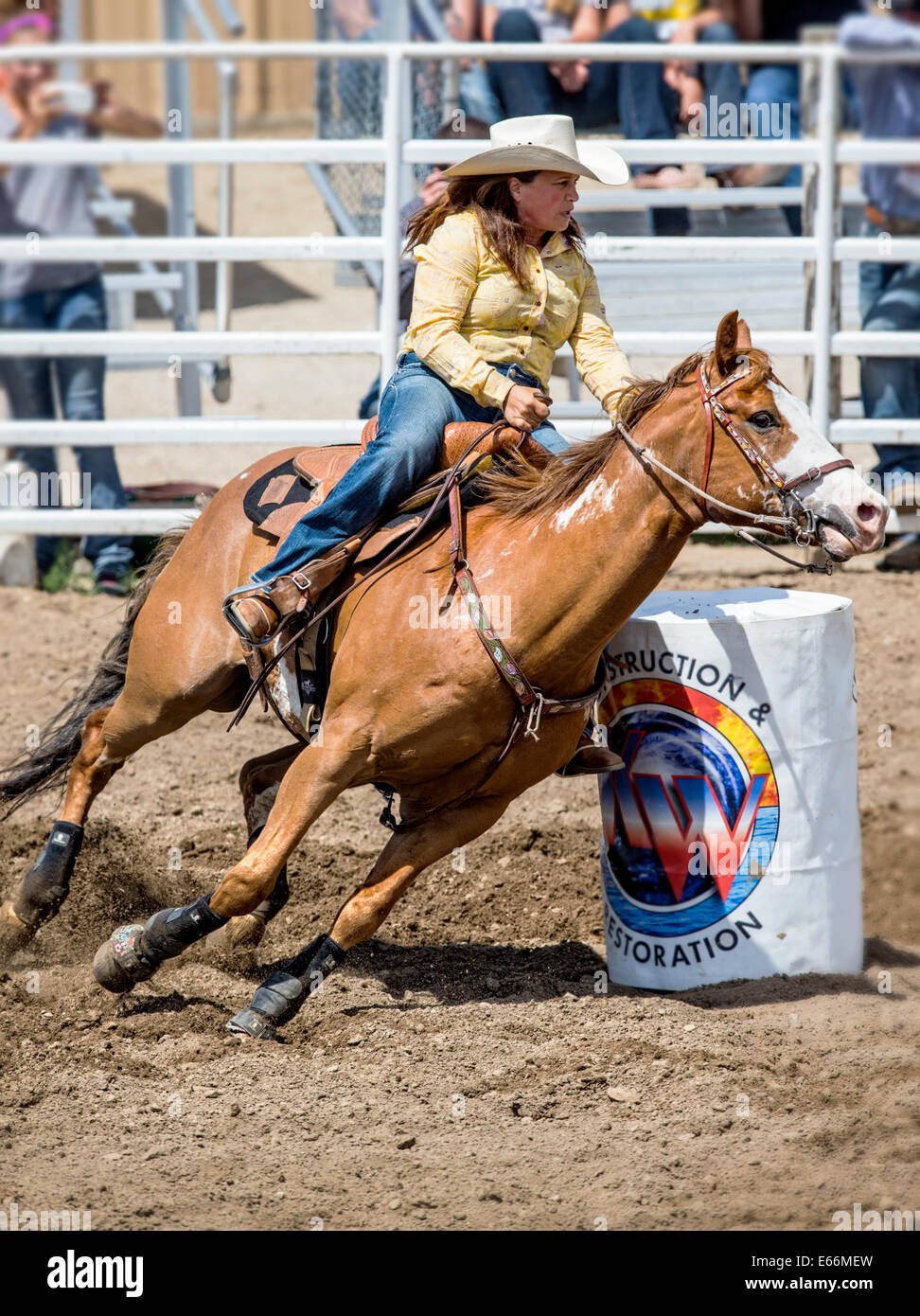 Cowgirl on horseback riding in the ladies barrel racing event, Chaffee ...