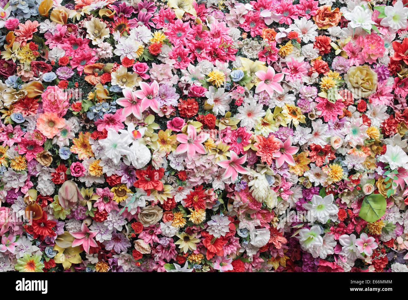 background with lots of colorful flowers Stock Photo - Alamy