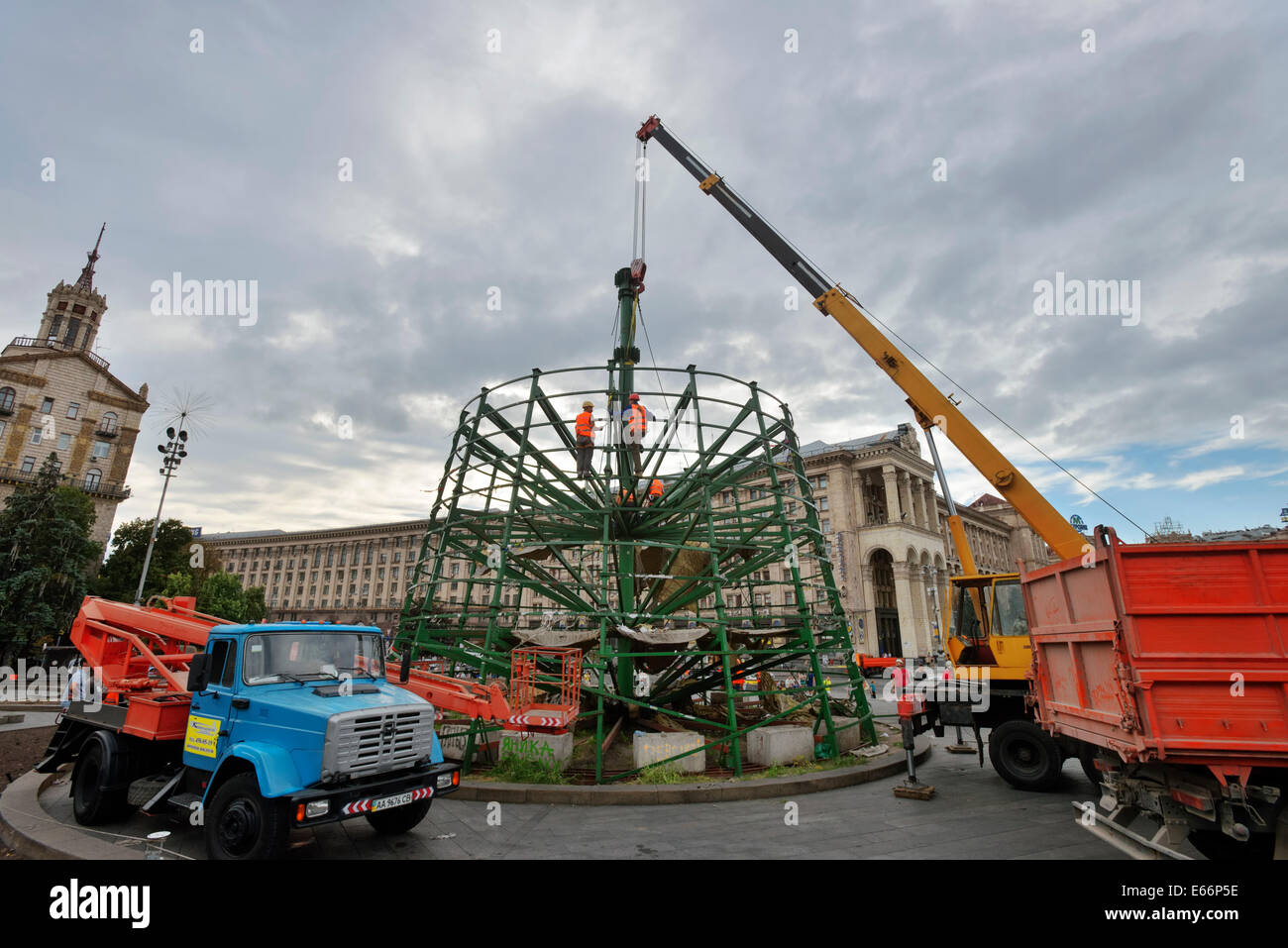 Yolka tree hi-res stock photography and images - Alamy