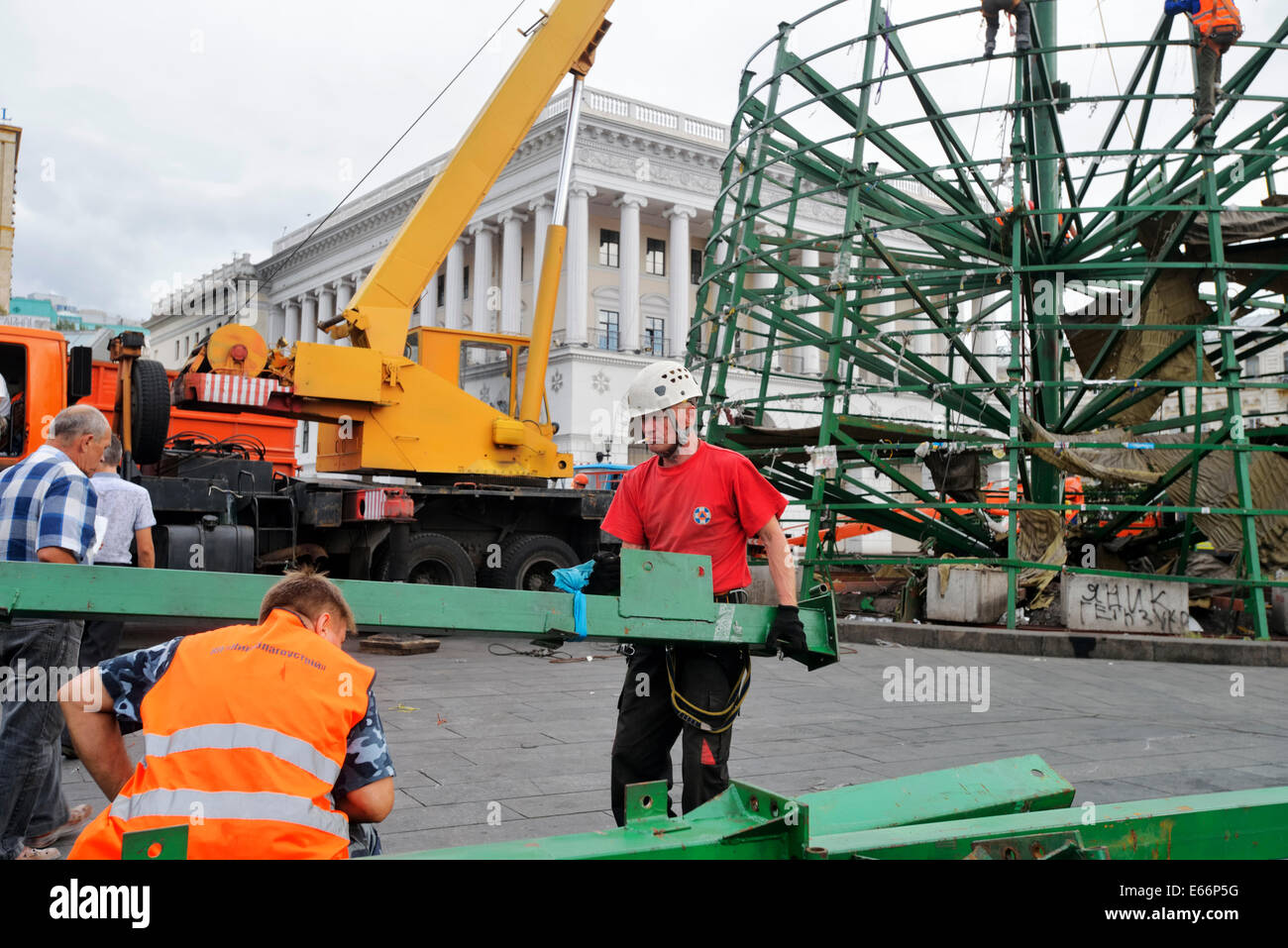 Yolka tree hi-res stock photography and images - Alamy