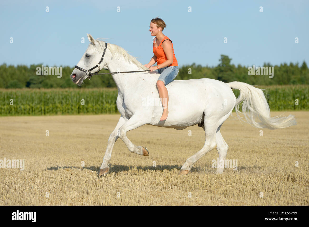 Woman riding grey horse bareback hi-res stock photography and images ...