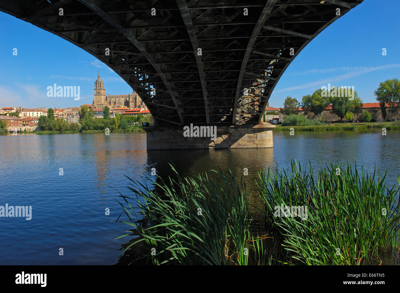 Cathedral and Tormes river, Salamanca, Castilla-Leon, Spain Stock Photo ...