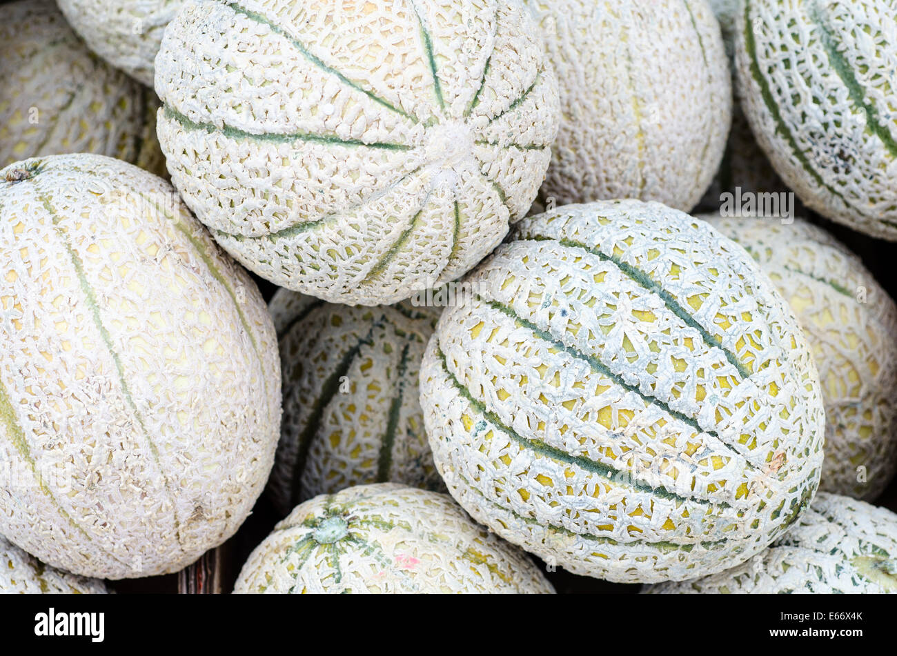 ripe melons on a desk of market in italy Stock Photo - Alamy