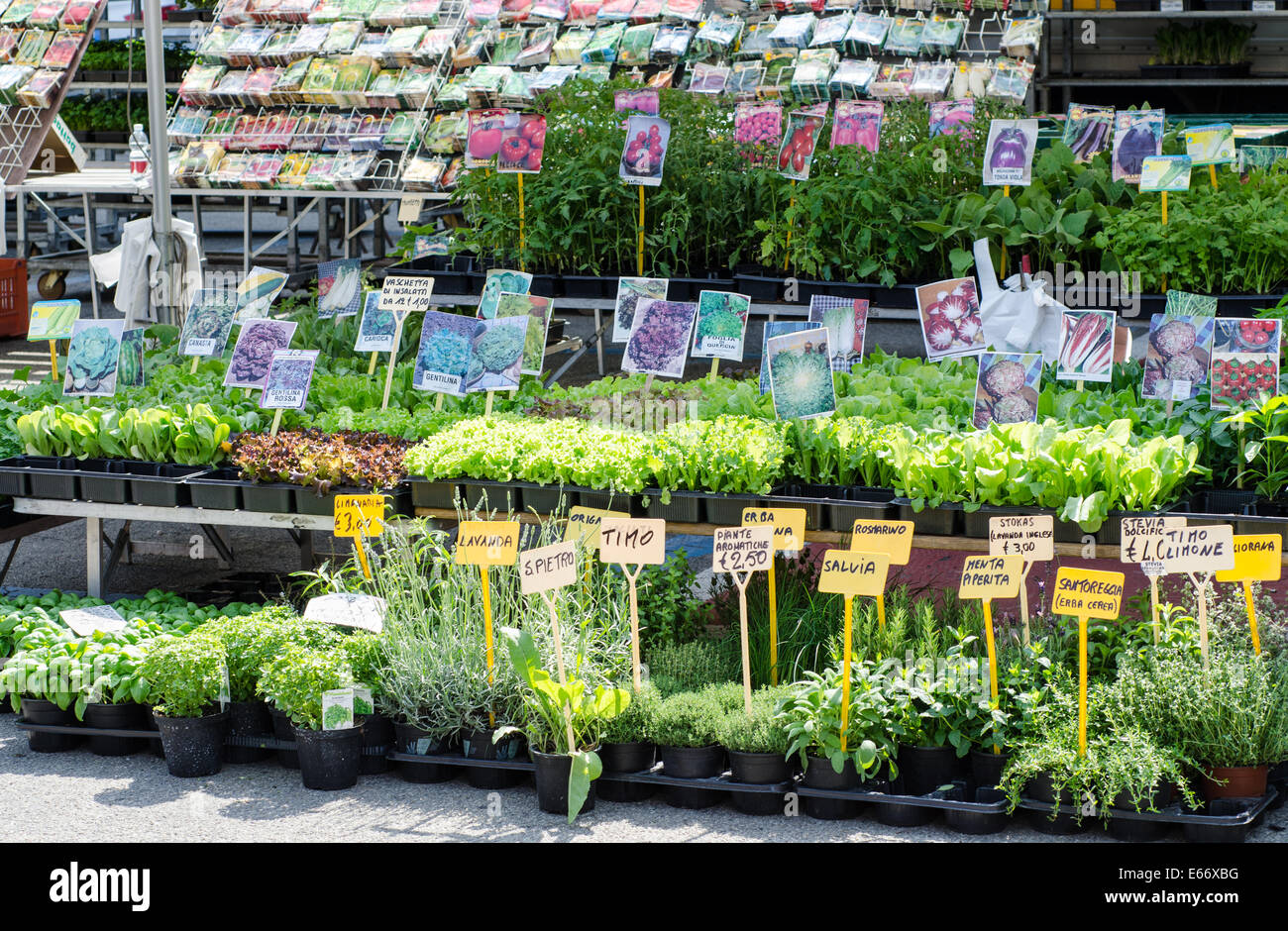 Plant market hi-res stock photography and images - Alamy