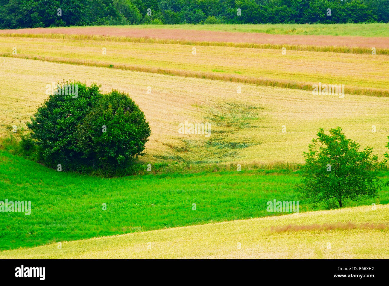 Cultivable fields hi-res stock photography and images - Alamy