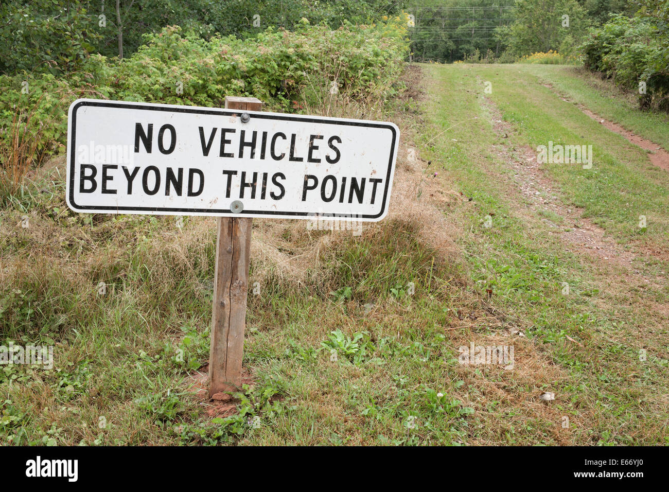 No vehicles sign in rural setting Stock Photo - Alamy