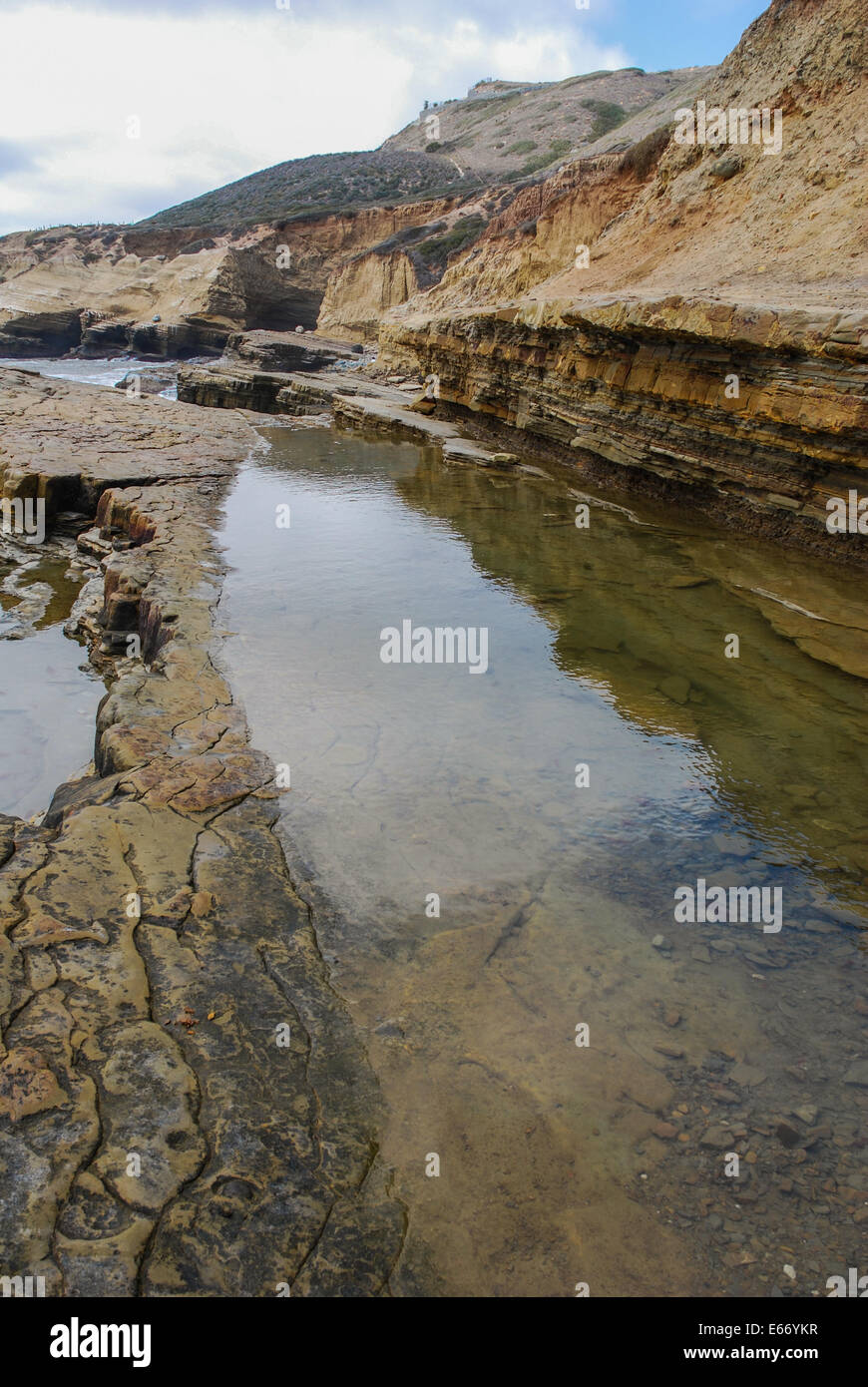 Tide pools point loma hi-res stock photography and images - Alamy