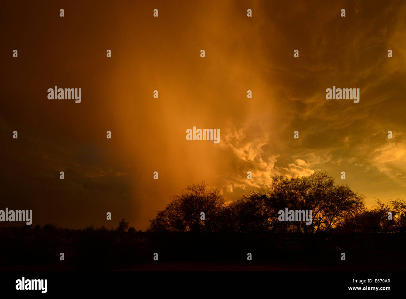 Tucson, Arizona, USA, August 15, 2014: A monsoon storm drops rain and ...