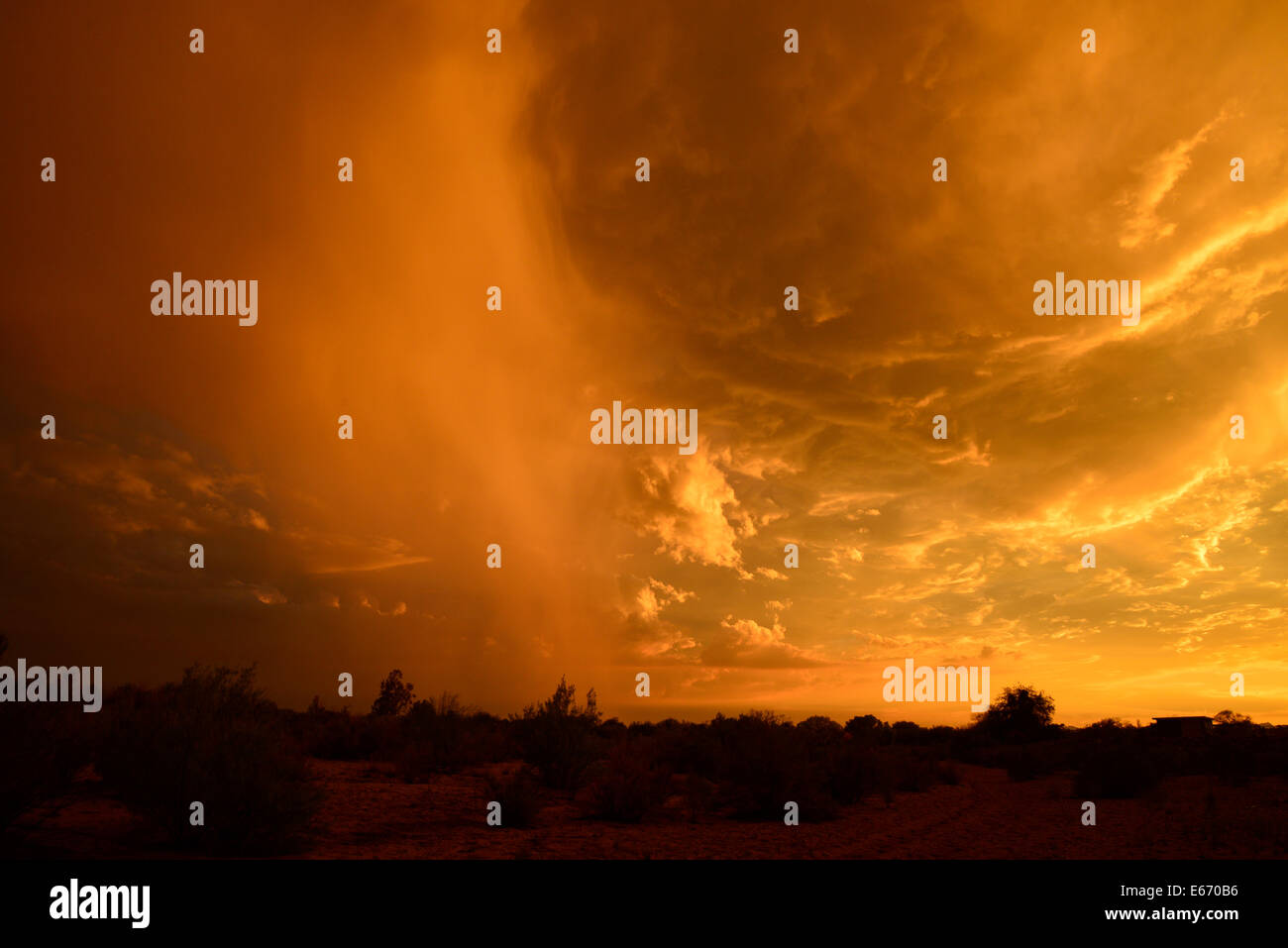 Tucson, Arizona, USA, August 15, 2014: A monsoon storm drops rain and ...