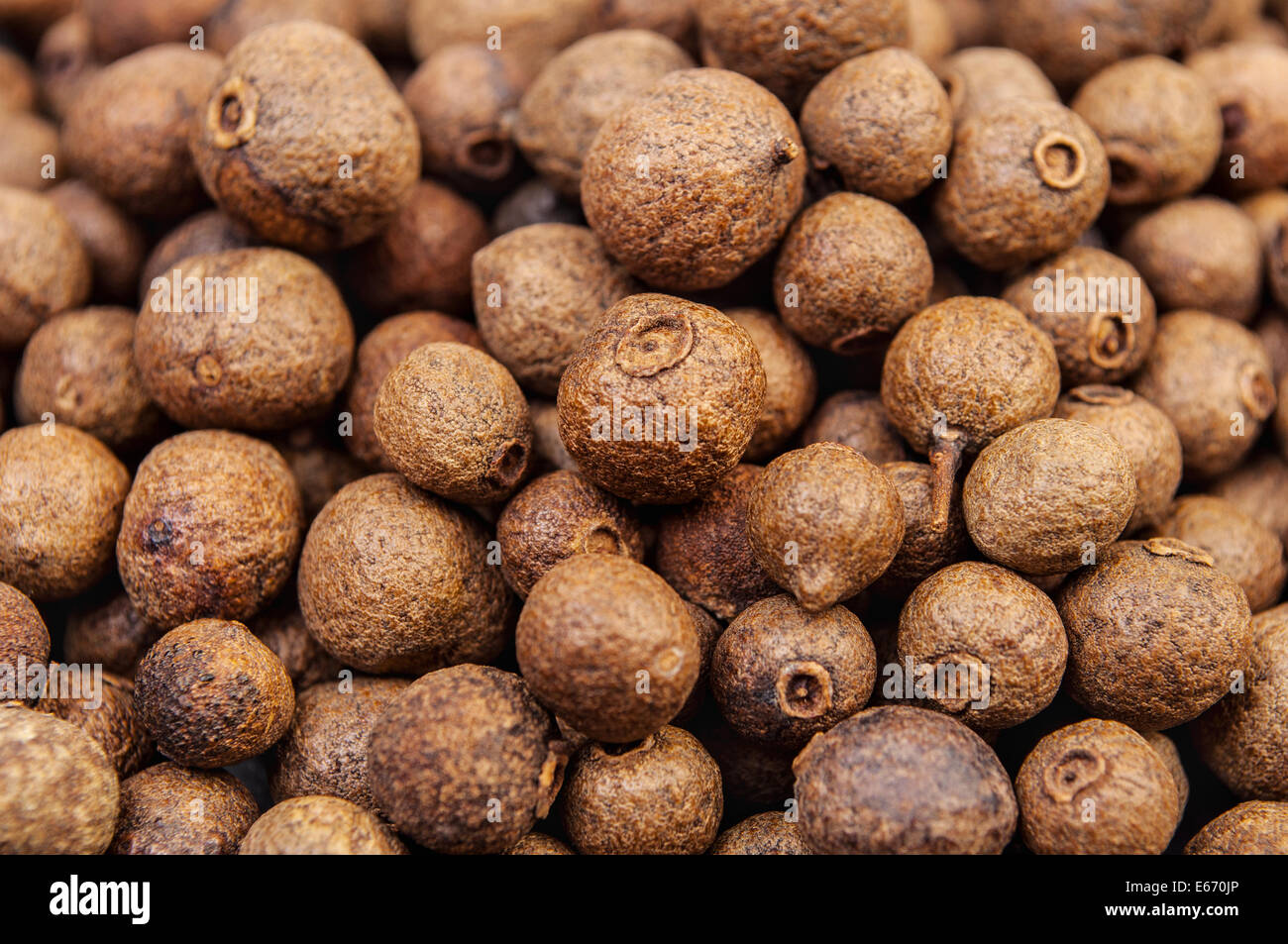 Allspice (jamaica pepper) berries texture, background full frame. Used ...