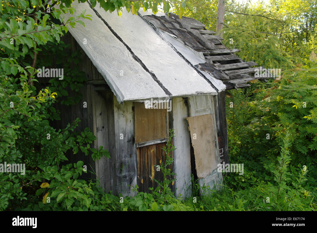 old ruined hut in a scrub Stock Photo - Alamy