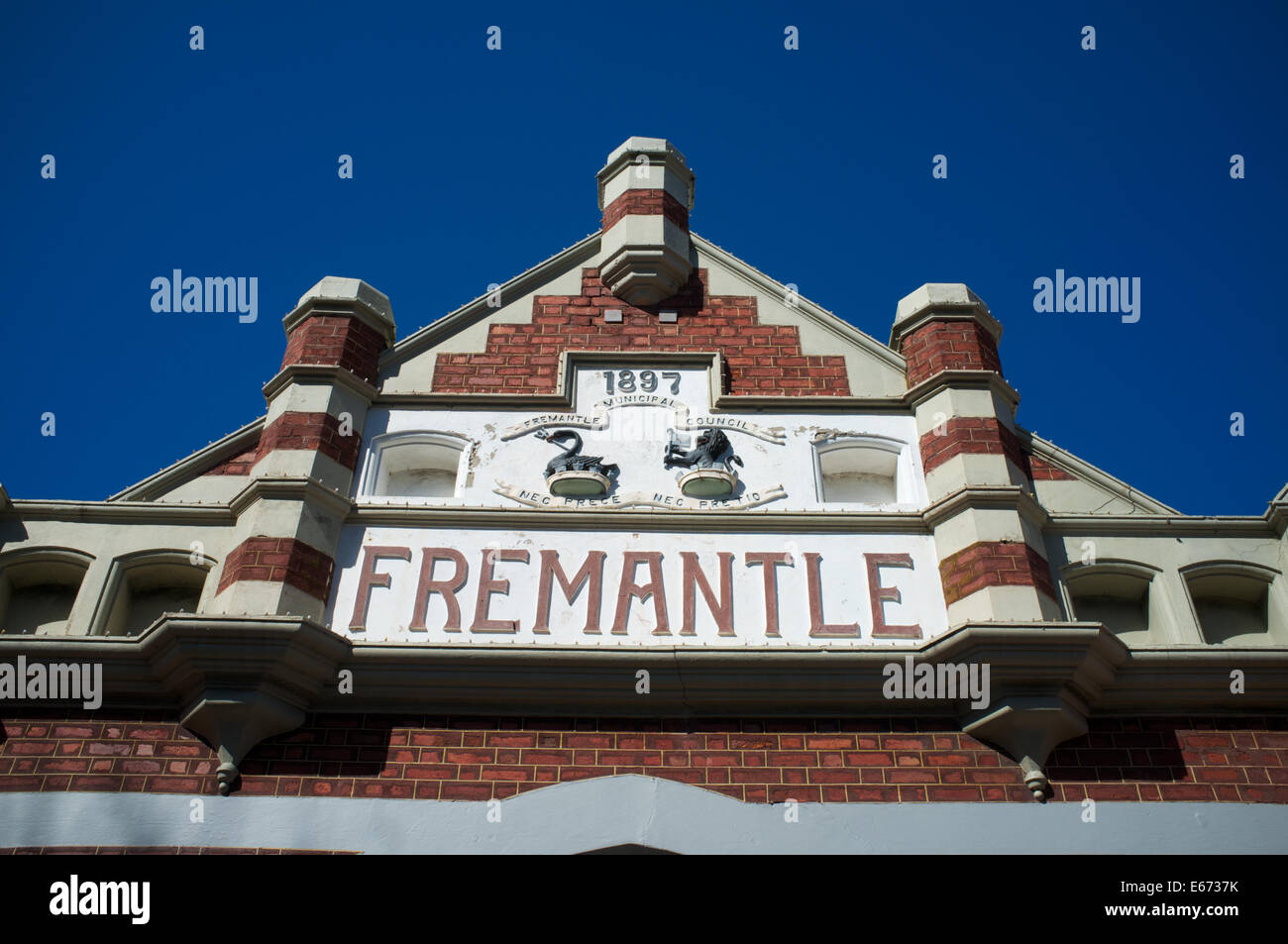Swan motif hi-res stock photography and images - Alamy